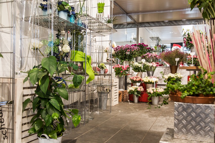 Blumen & Gärtnerei Hosse - Quatuor in Solingen