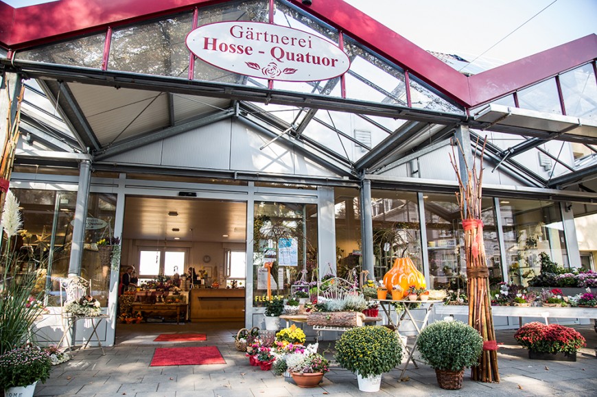 Blumen & Gärtnerei Hosse - Quatuor in Solingen